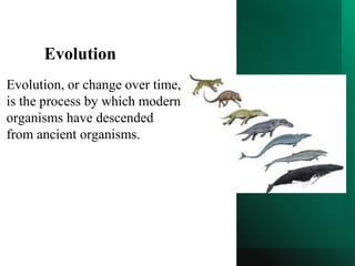 Concepts of Evolution.pptx