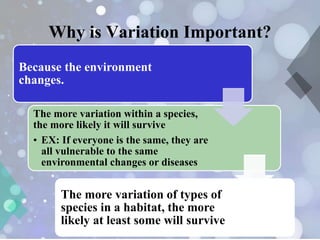 Concepts of Evolution.pptx