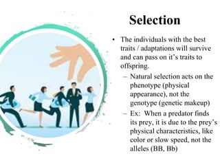 Concepts of Evolution.pptx