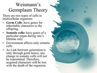 Concepts of Evolution.pptx