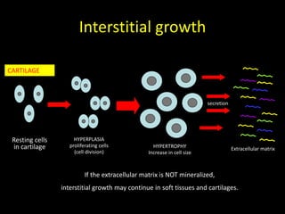 Concepts of growth and development | PPTX