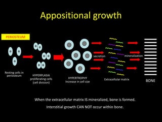 Concepts of growth and development | PPTX