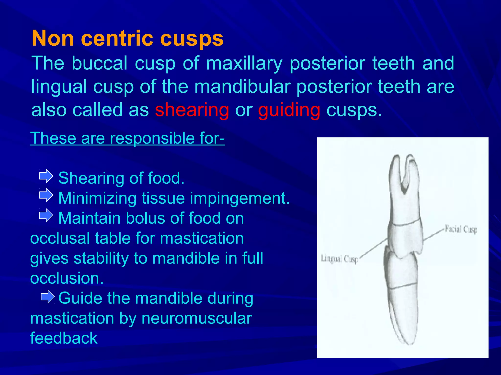 Concepts of dental occlusion and importance of six keys of occlusion in ...