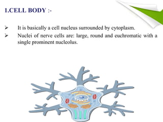 Concepts of psycho biology | PPTX
