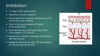 Concepts of Skin Grafts and skin substitutes.pptx