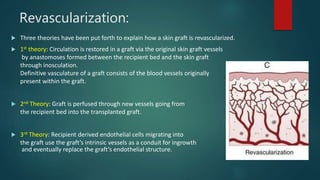 Concepts of Skin Grafts and skin substitutes.pptx