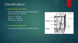 Concepts of Skin Grafts and skin substitutes.pptx
