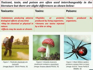 Concepts of toxicology | PPTX