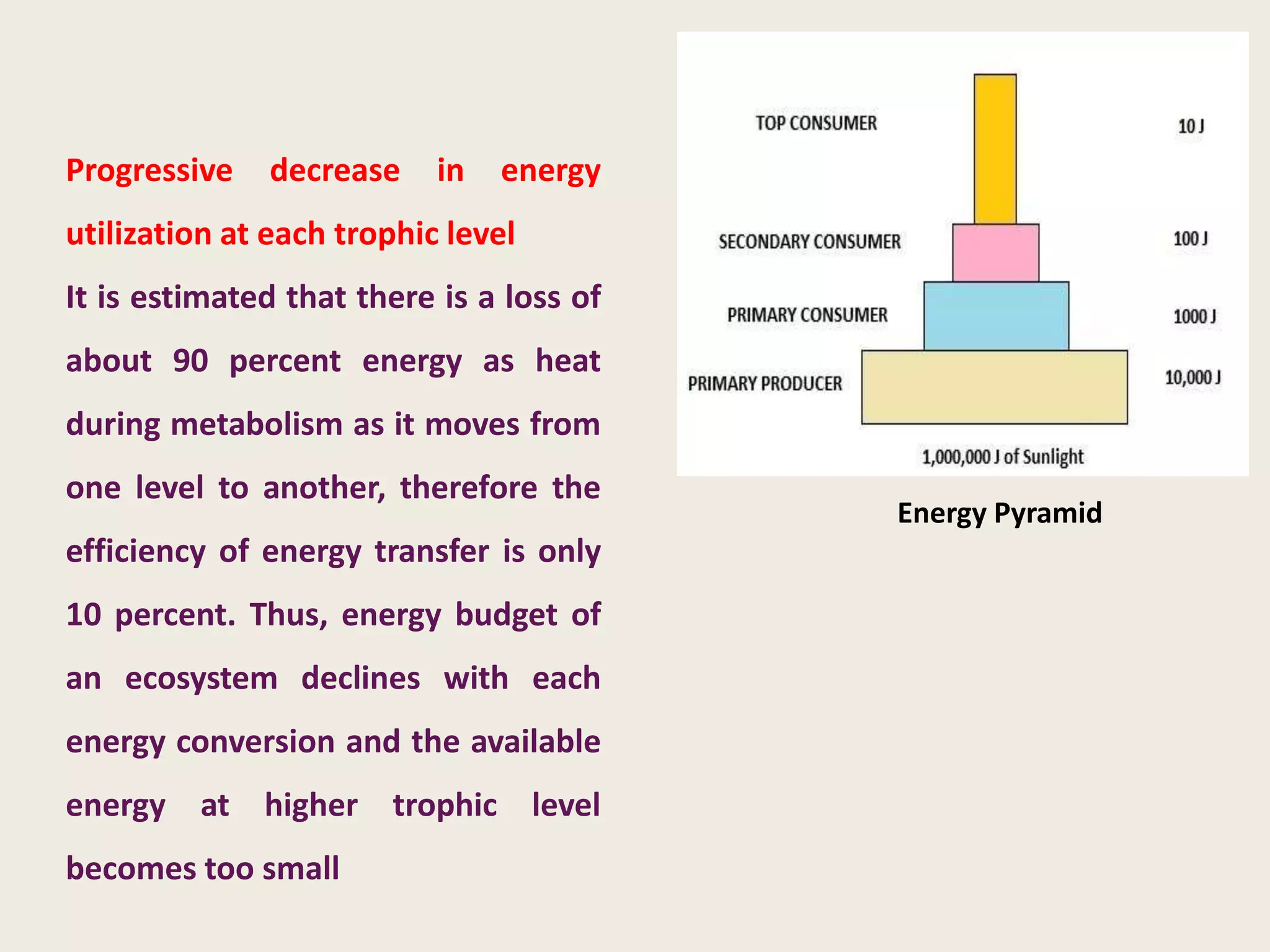 Concepts of trophic structure, food chain and food web. energy flow in ...