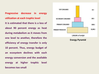 Concepts of trophic structure, food chain and food web. energy flow in ...