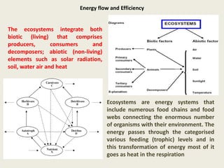 Concepts of trophic structure, food chain and food web. energy flow in ...