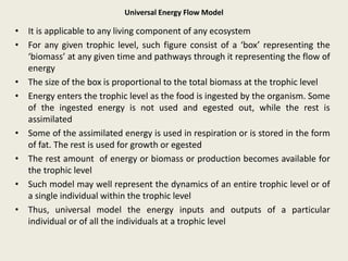 Concepts of trophic structure, food chain and food web. energy flow in ...