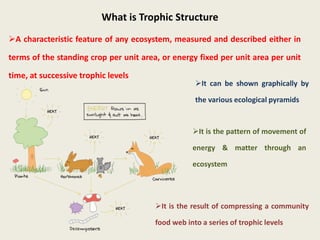 Concepts of trophic structure, food chain and food web. energy flow in ...