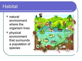Concepts on Population | PPT