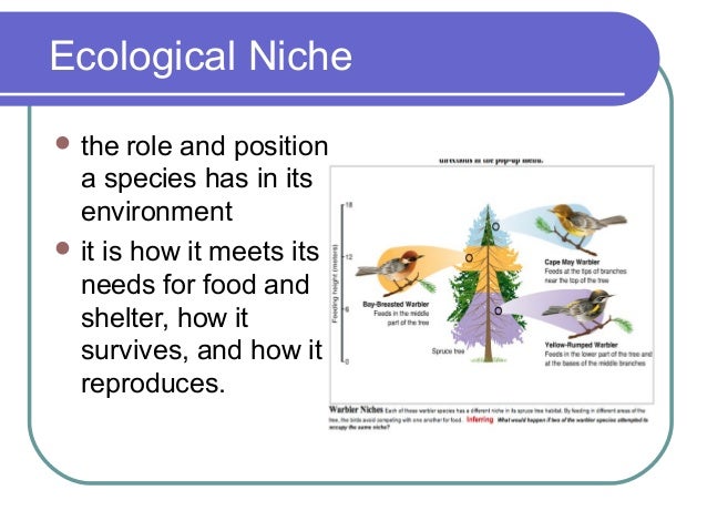 Concepts on Population