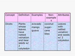 Concept Teaching | PPT