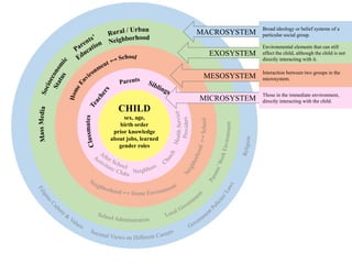 Gene Thesis Conceptual Framework WIP | PPT