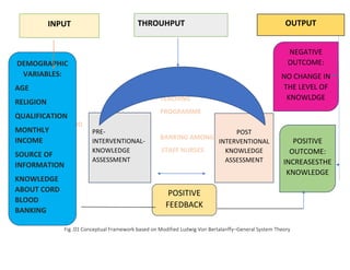 conceptual frame work.docx