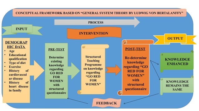 conceptual framework conceptual framework.pptx