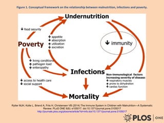 Conceptual framework | PPT