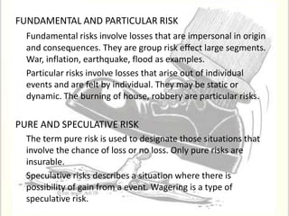 Conceptual framework and risk management | PPTX