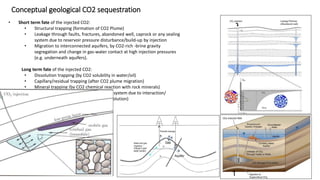 Conceptual geological CO2 sequestration.pptx