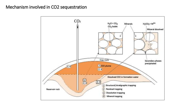 Conceptual geological CO2 sequestration.pptx