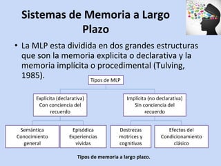 Conceptualización actual de la memoria | PDF
