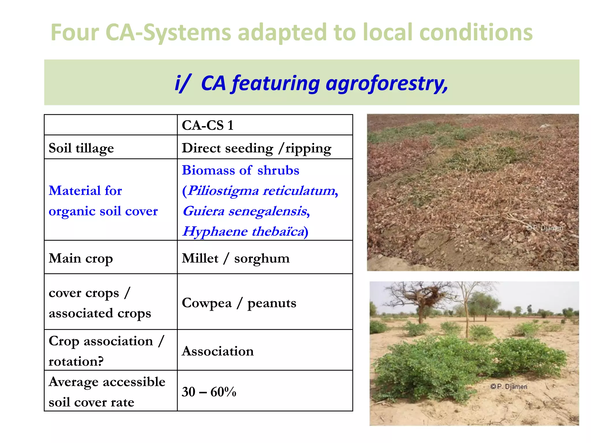 Conceptual typology of conservation agriculture systems for semi arid ...