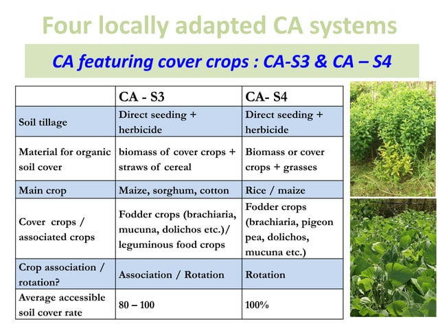 Conceptual typology of conservation agriculture systems for semi arid ...