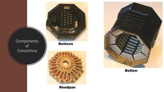 Concertina | PPTX