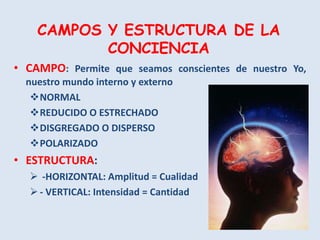 Conciencia sueño | PPTX