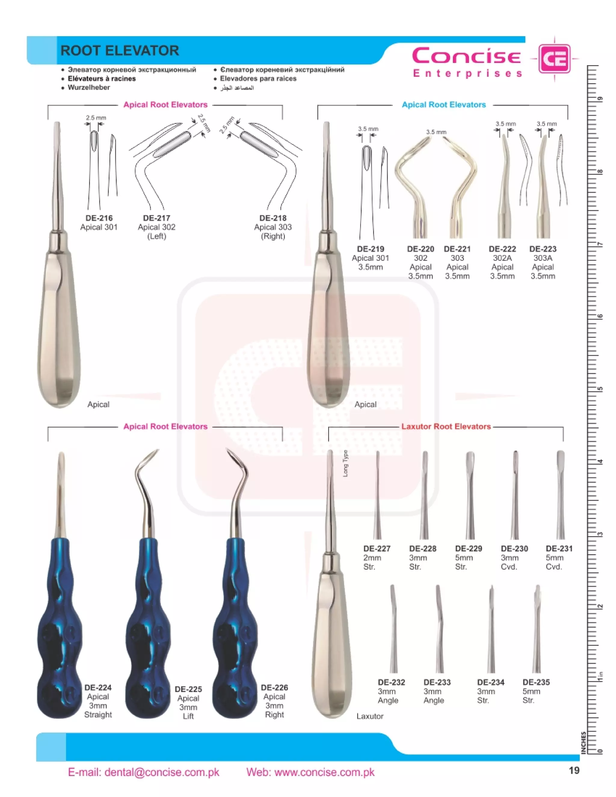 Concise Dental Instruments | PDF