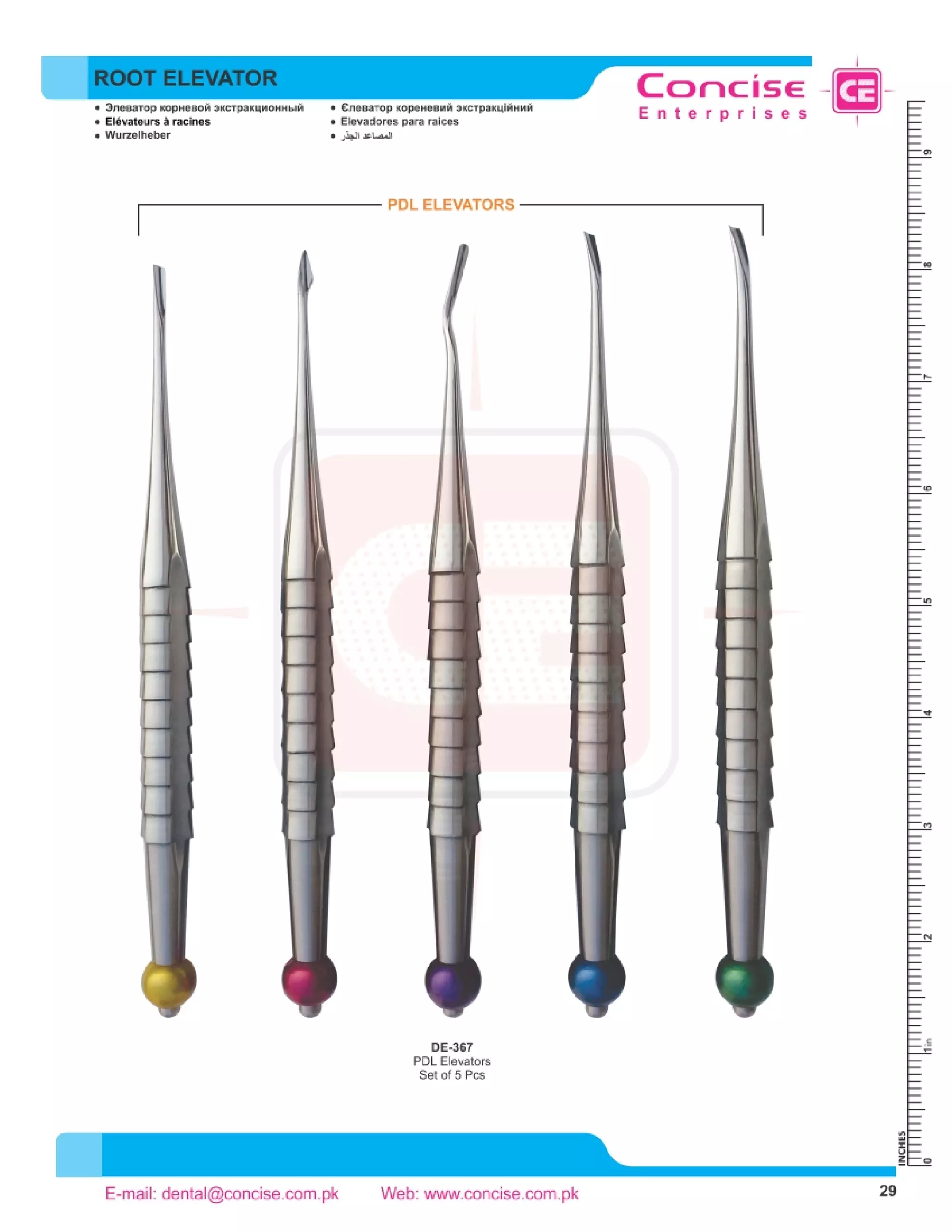 Concise Dental Instruments | PDF