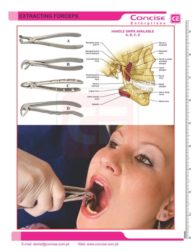 Concise Dental Instruments | PDF