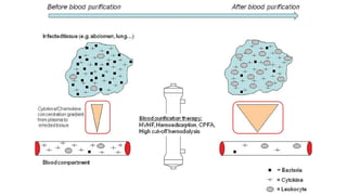 concised ppt on cytosorb 1.pptx