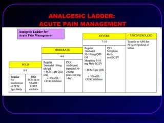 Concised training version | PPT