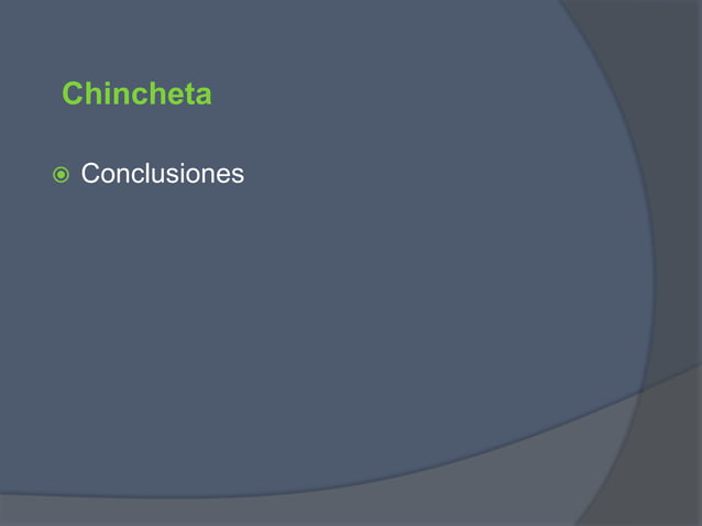 Conclusiones de powerpointv | PPTX