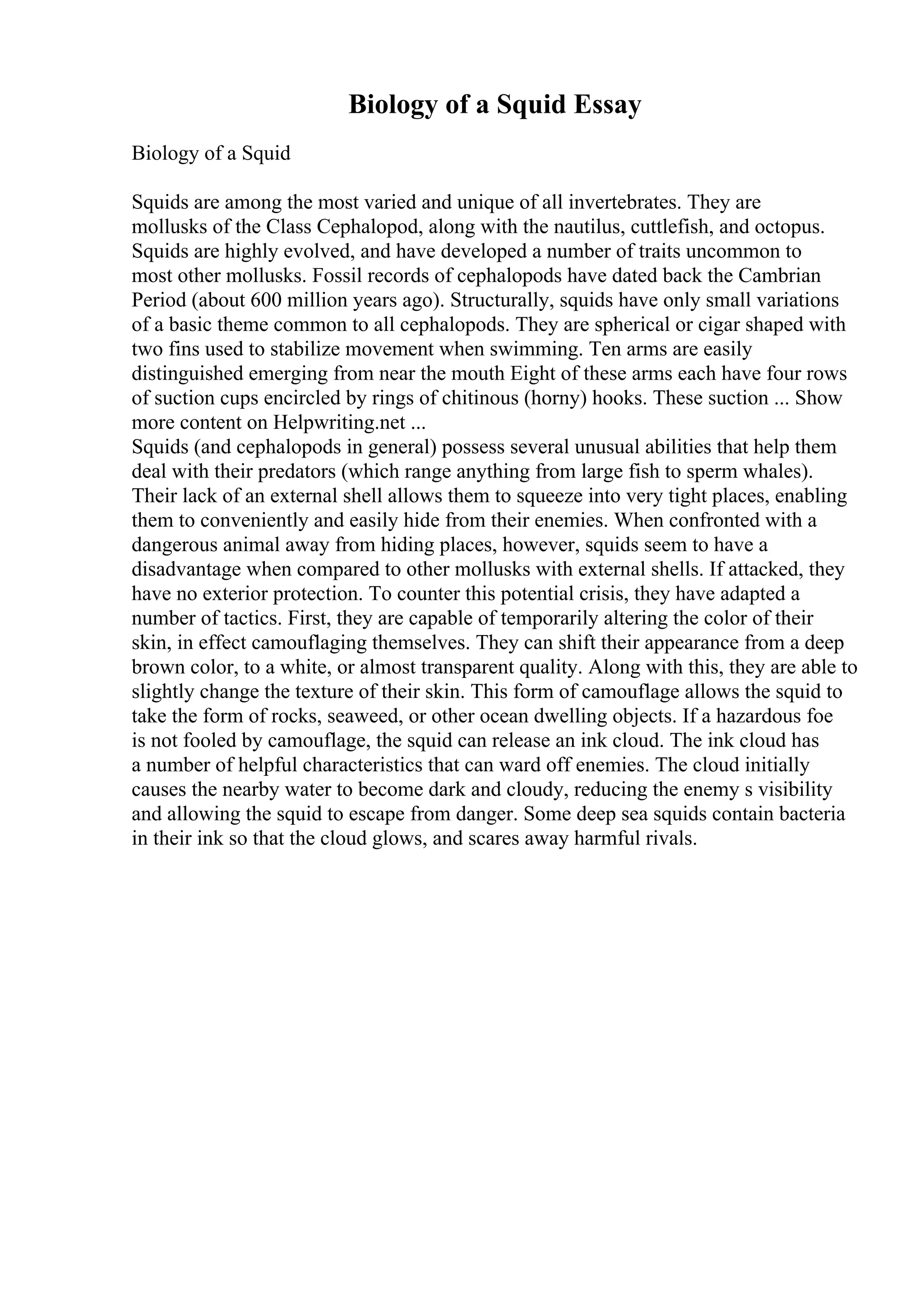 Conclusion Essay Examples | PDF