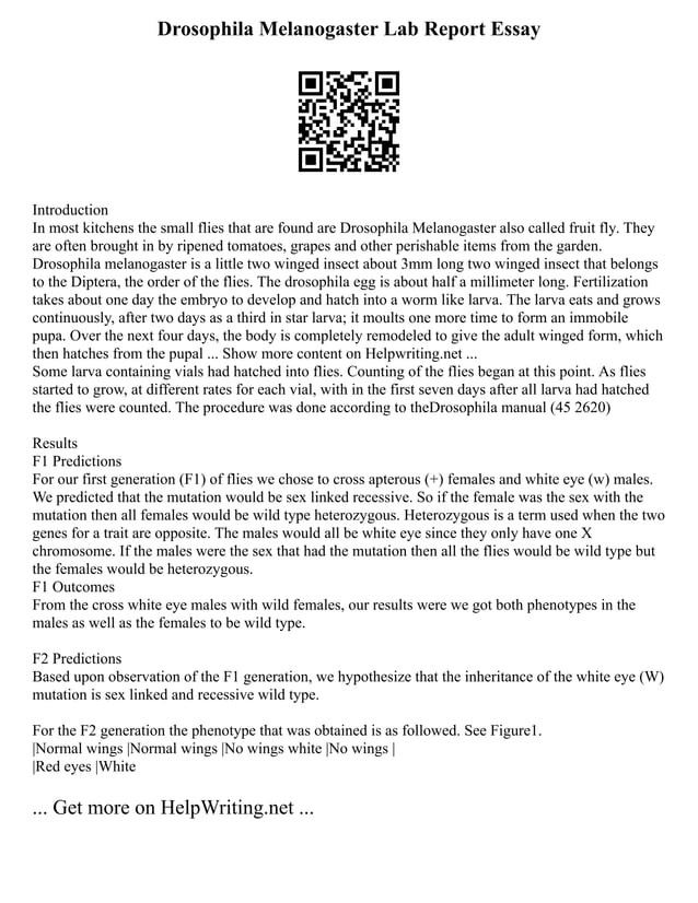 Conclusion Paragraph Research Paper. Conclusion Paragraph Examp | PDF