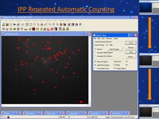 Bacterial Counting: Quick, easy and accurate? | PPSX