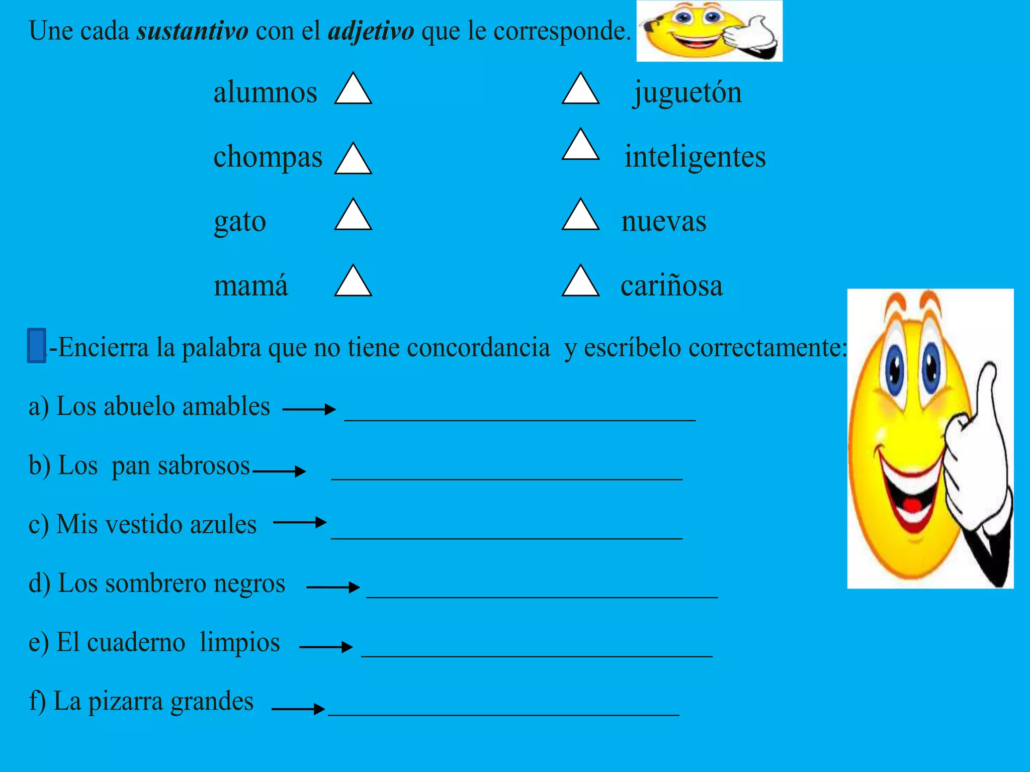 Concordancia entre el sustantivo y adjetivo | PPTX