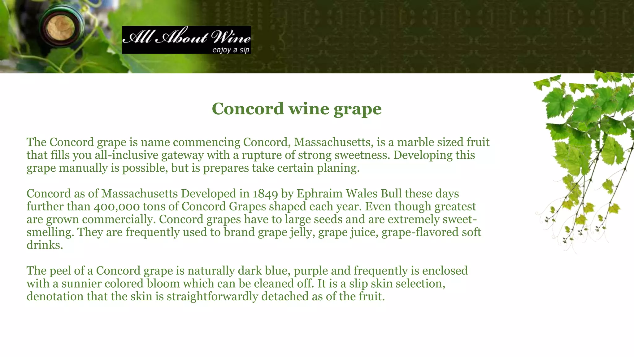 Concord grape | PPTX | Alcoholic Beverages | Food & Drink