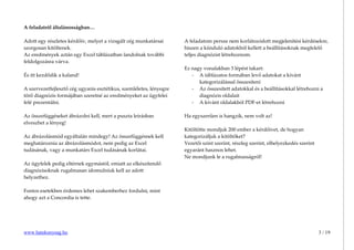 Concordia Excel cégelemzés esettanulmány | PDF