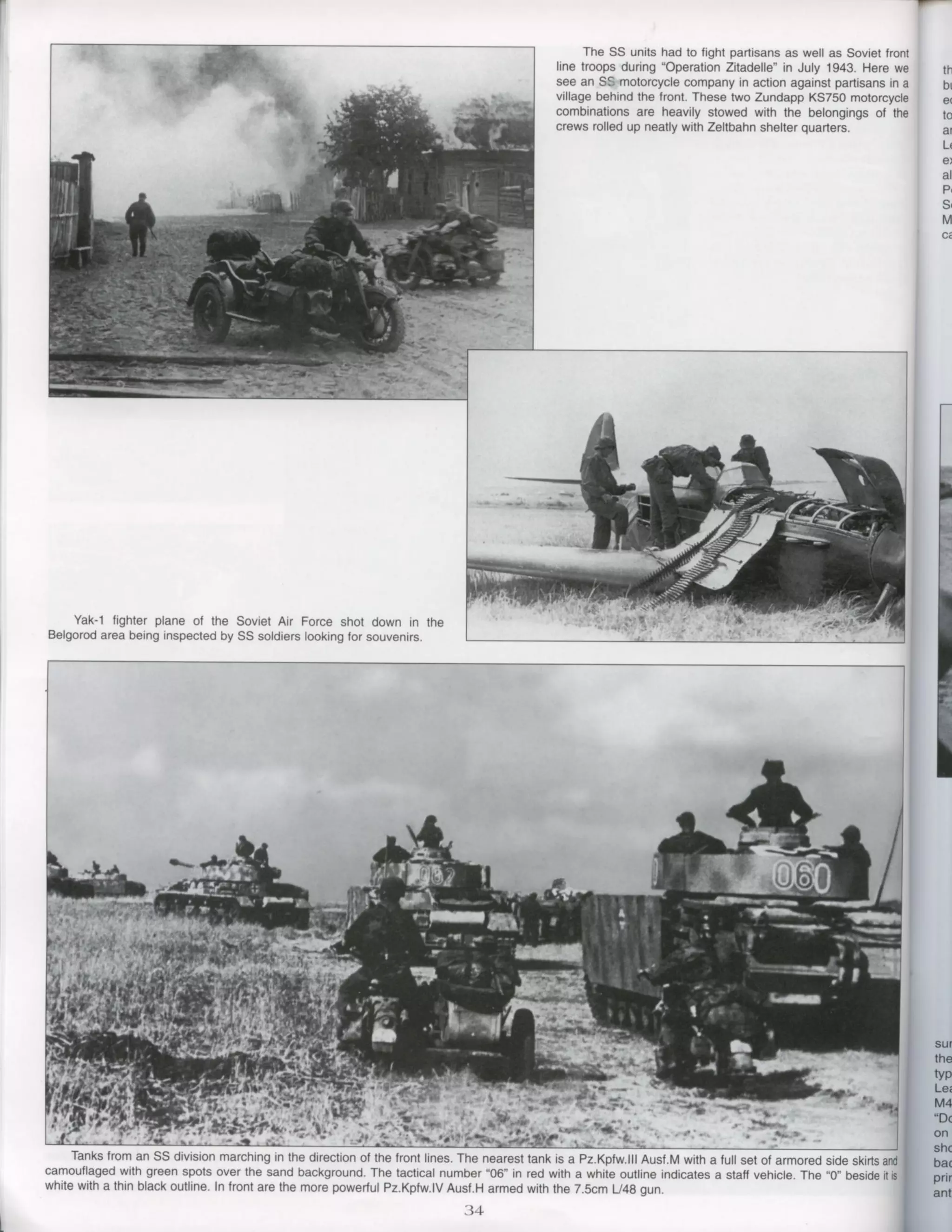 Waffen SS in combat | PDF