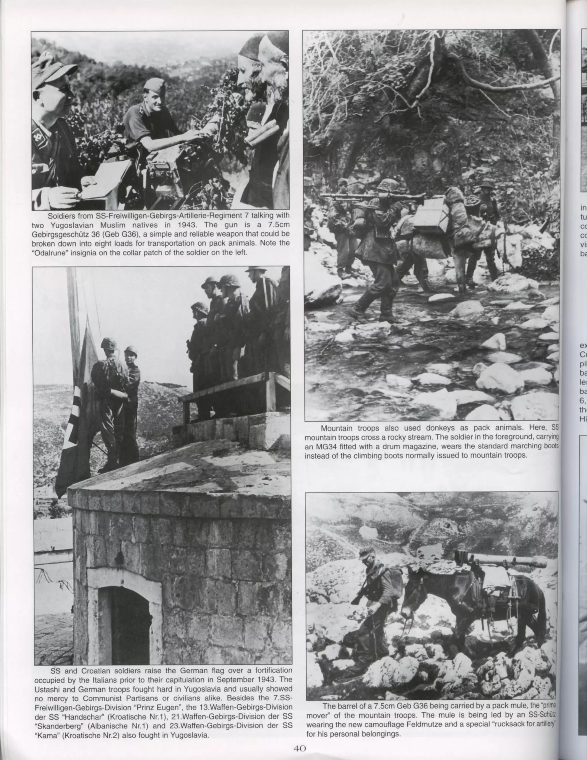 Waffen SS in combat | PDF