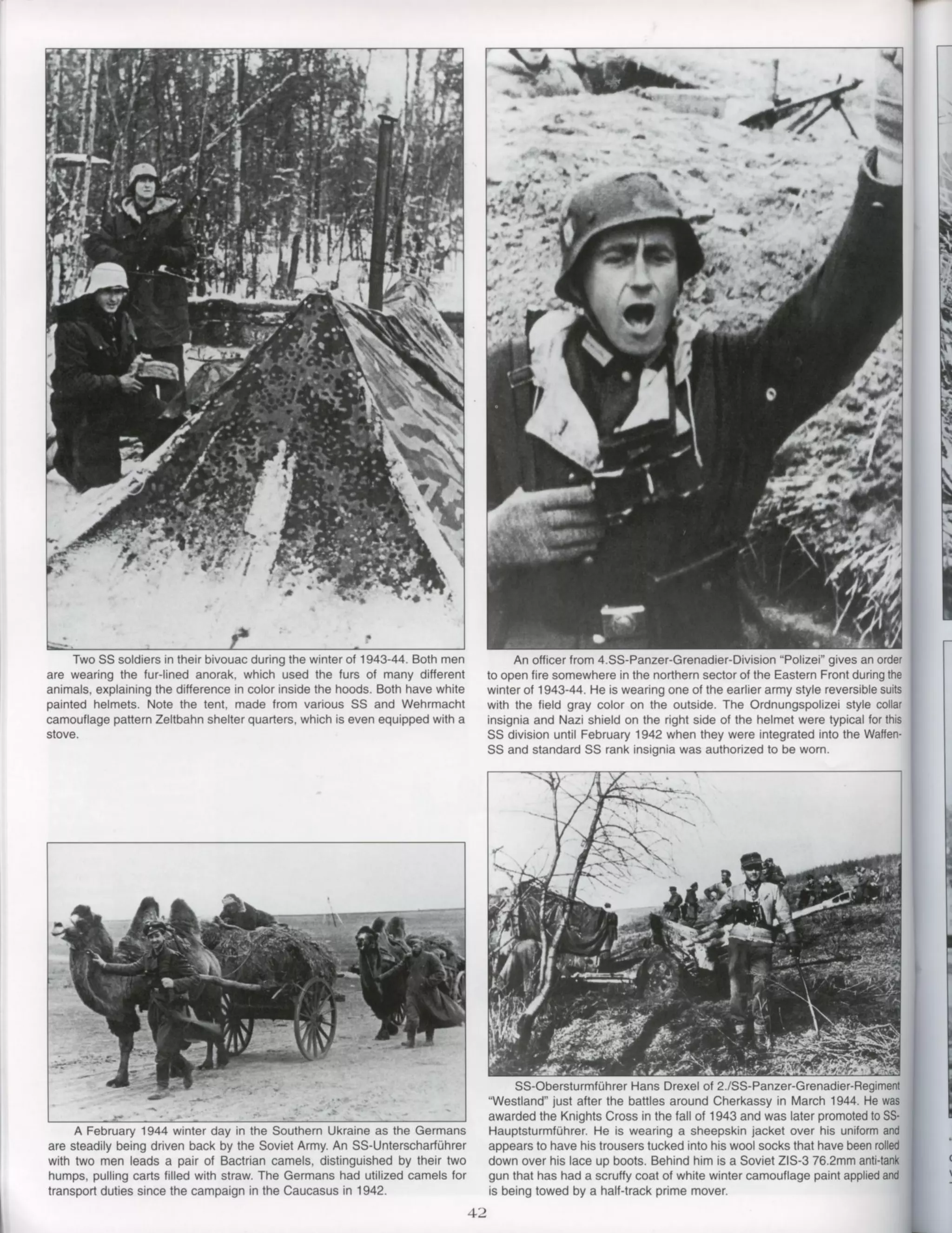 Waffen SS in combat | PDF