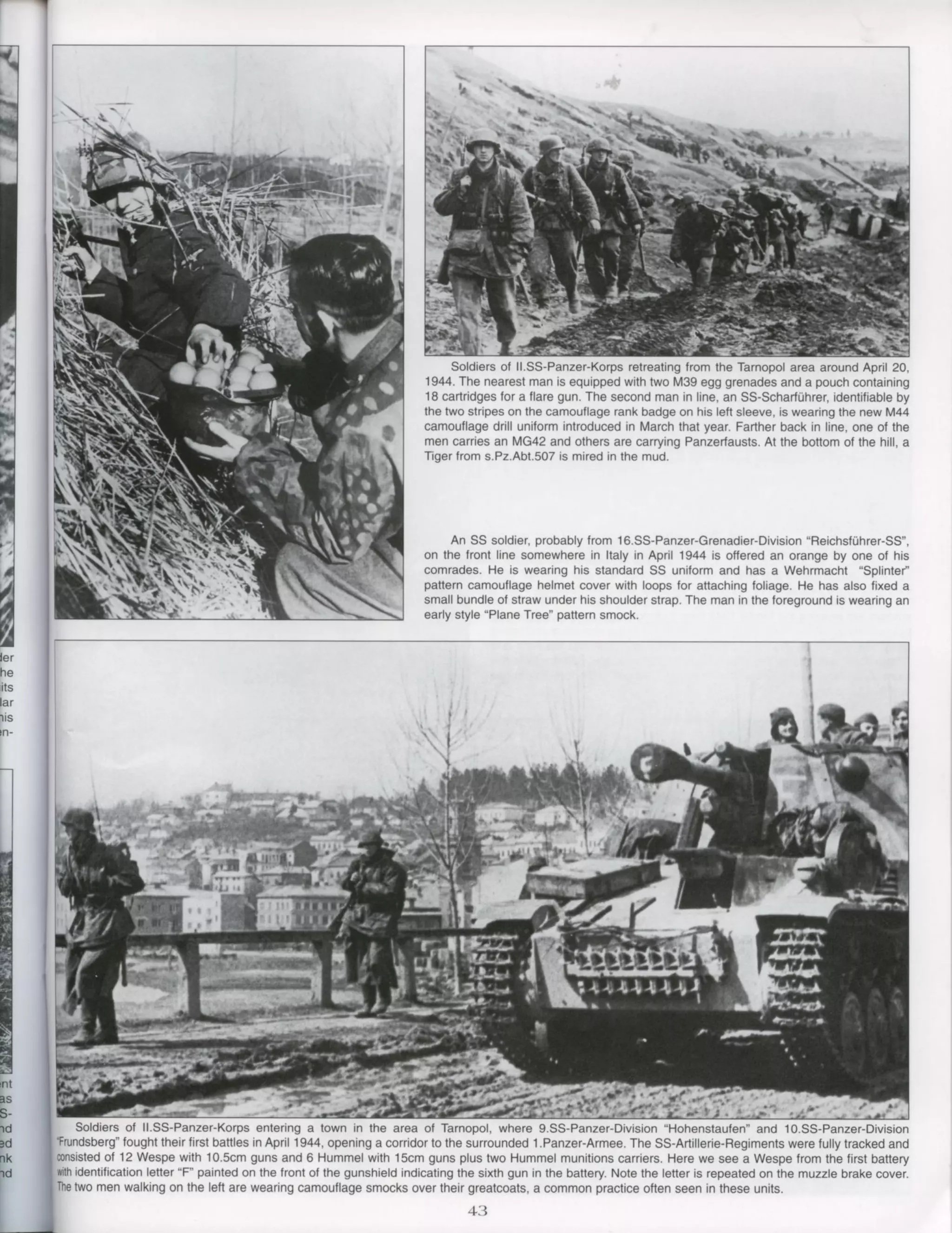 Waffen SS in combat | PDF