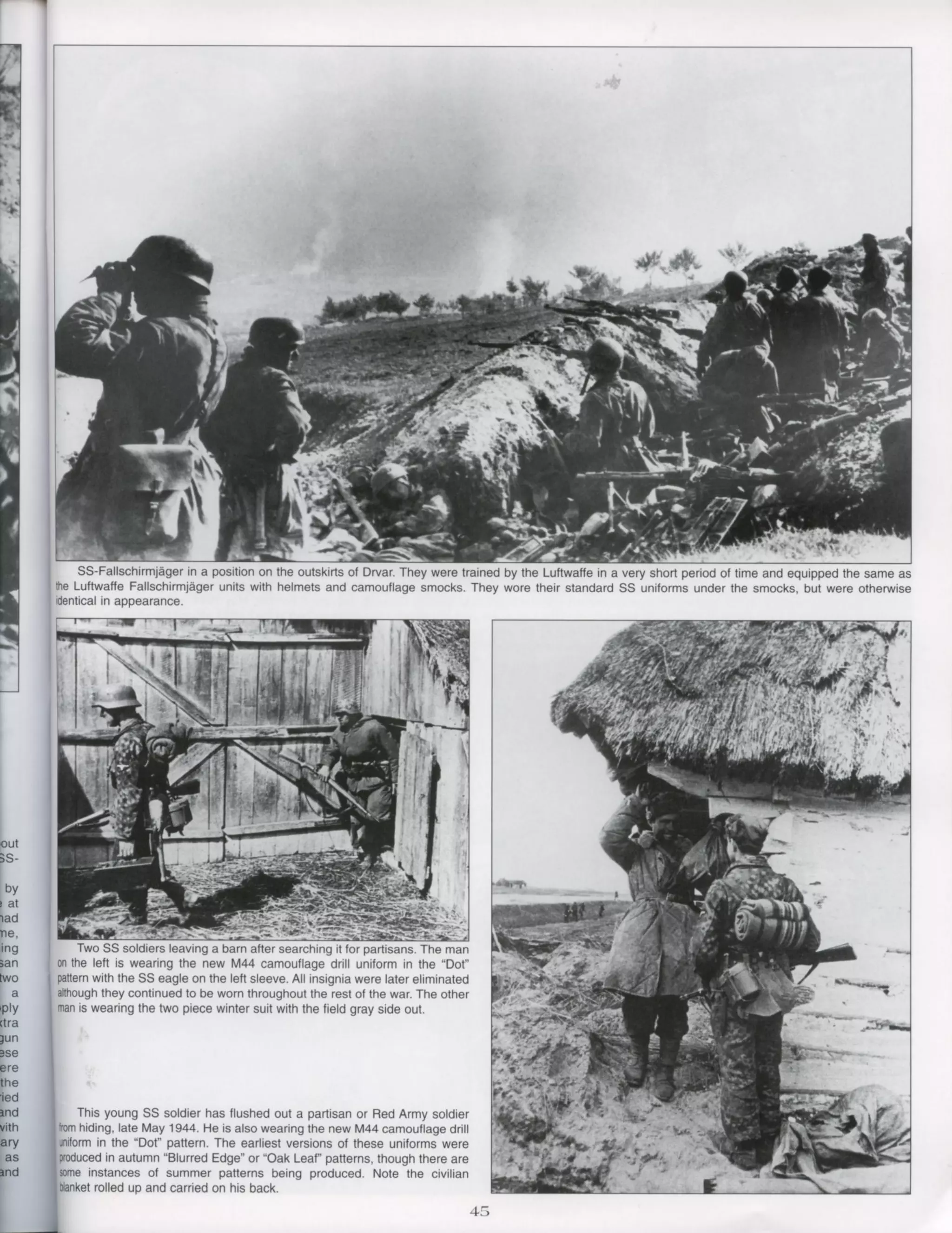 Waffen SS in combat | PDF