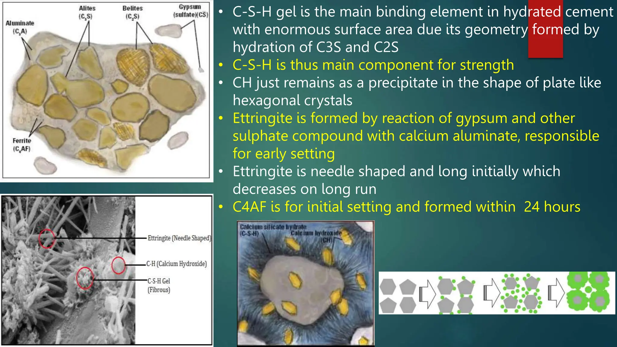 View Concrete as a three phase system.pptx